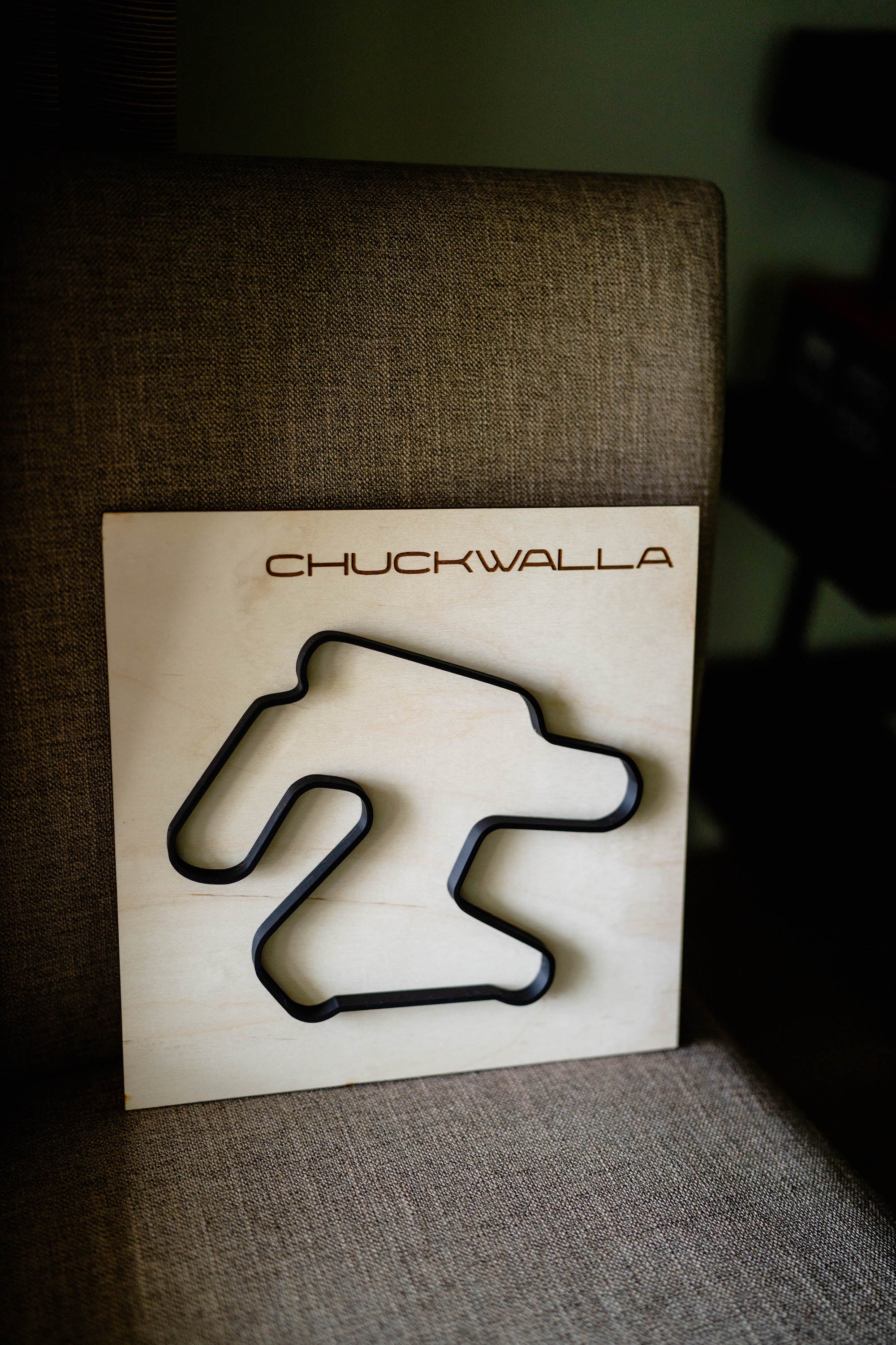 Chuckwalla Race Track Wood Framed Wall Art – Coordinates Cubed