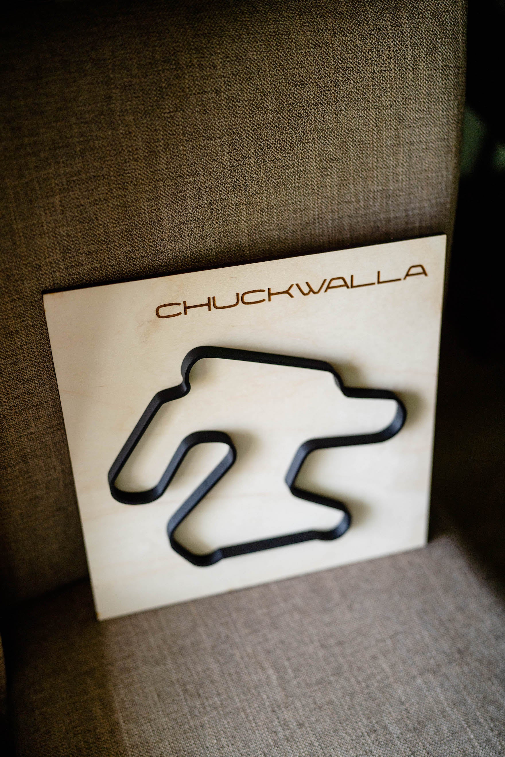 Chuckwalla Race Track Wood Framed Wall Art – Coordinates Cubed