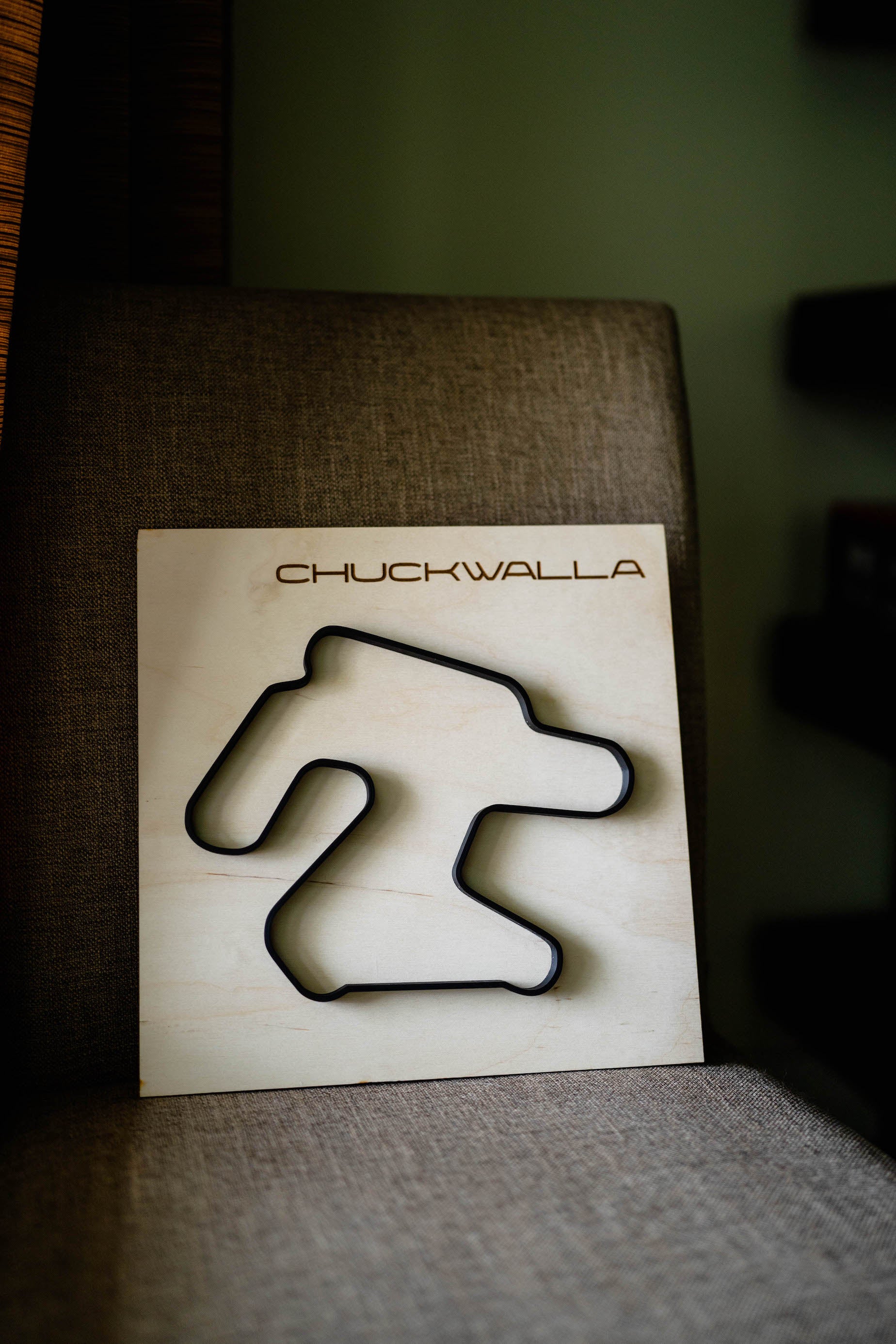 Chuckwalla Race Track Wood Framed Wall Art – Coordinates Cubed